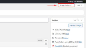 How to Use the WordPress Screen Options - WPKlik