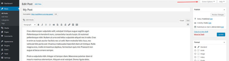 WordPress Excerpt – What It Is and How to Use It - WPKlik