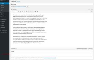 WordPress Excerpt – What It Is and How to Use It - WPKlik