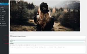 How to Quickly Add a WordPress Image Caption - WPKlik