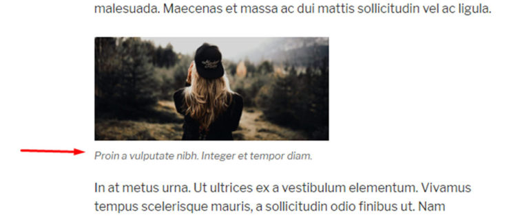 How to Quickly Add a WordPress Image Caption - WPKlik