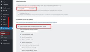 How to Optimize Your WordPress Database in Two Easy Ways - WPKlik