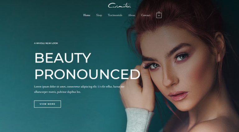 35+ Beautiful Cosmetics WordPress Themes in 2023 - WPKlik
