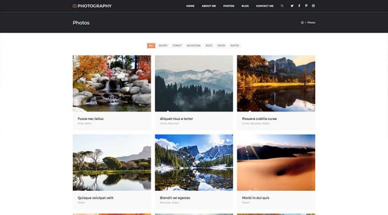 5+ Free Portfolio WordPress Themes to Use in 2024 - WPKlik
