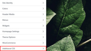 How to Add a Custom Scrollbar in WordPress - WPKlik