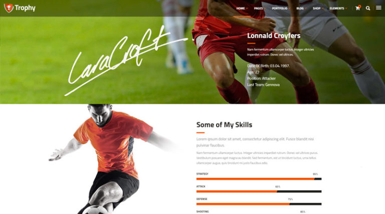 5 Best Football WordPress Themes for a Winning Website - WPKlik