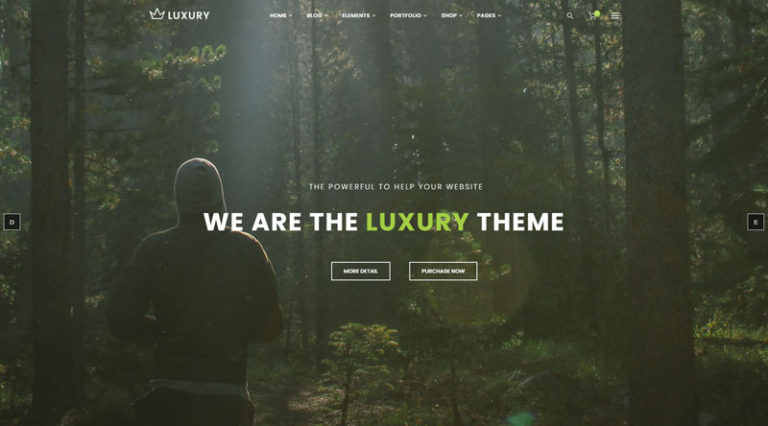 10+ Impressive Luxury WordPress Themes for 2023 - WPKlik