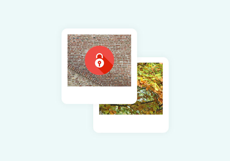 How to Protect Images on Your Website From Being Copied - WPKlik