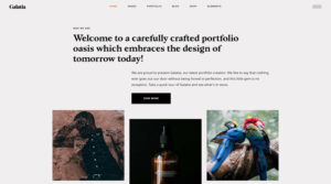 10 Eye-Catching WordPress Pinterest Themes for 2023 - WPKlik
