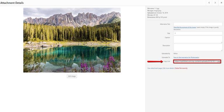 How to Get Image URLs for WordPress Websites - WPKlik