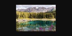 How to Get Image URLs for WordPress Websites - WPKlik