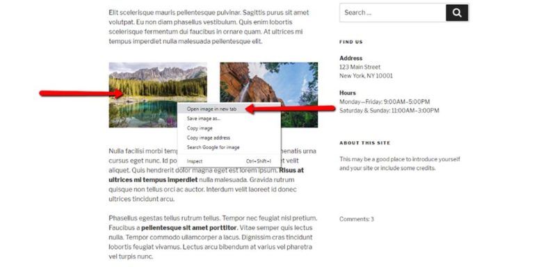 How to Get Image URLs for WordPress Websites - WPKlik