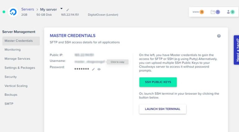Cloudways Hosting Review: Explore Your Possibilities - WPKlik