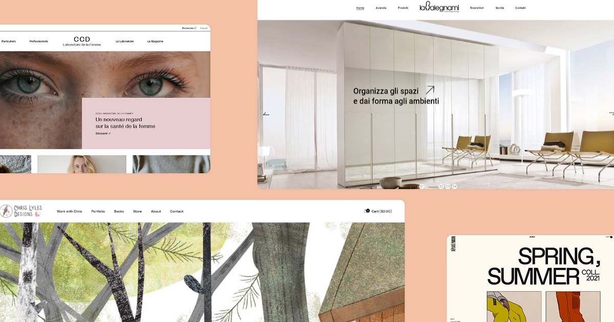 15+ Best eCommerce Website Examples You Have to See - WPKlik
